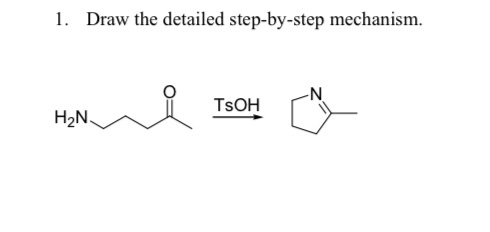 Solved 1. Draw the detailed step-by-step mechanism. -N TsOH | Chegg.com