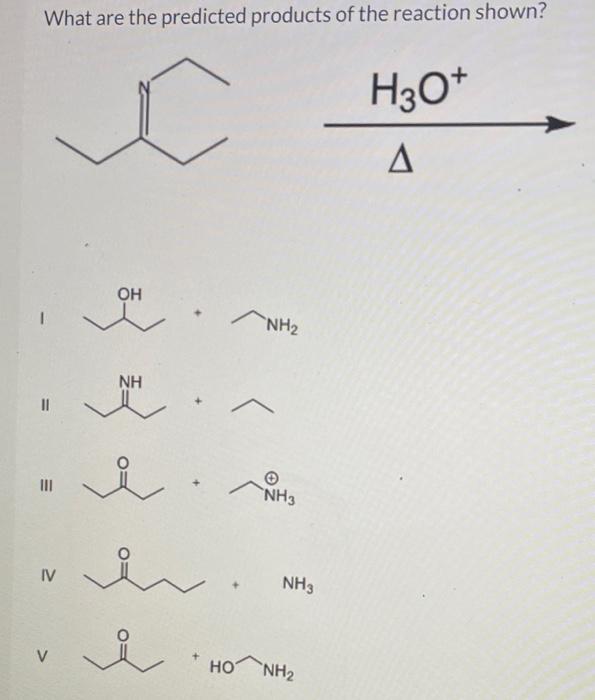 Solved What are the predicted products of the reaction | Chegg.com