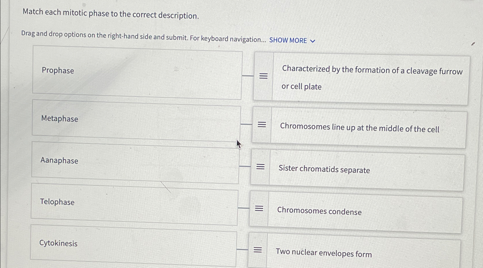 Solved Match each mitotic phase to the correct | Chegg.com