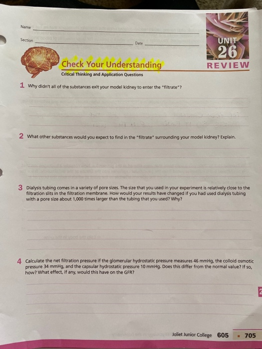 Solved Name Section Date UNIT Check Your Understanding | Chegg.com