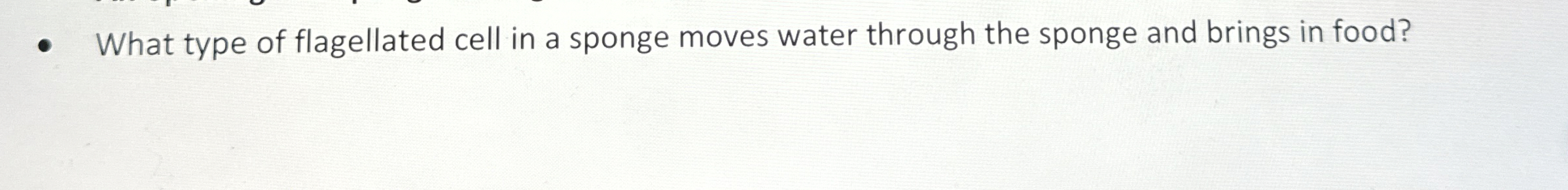 Solved What type of flagellated cell in a sponge moves water | Chegg.com