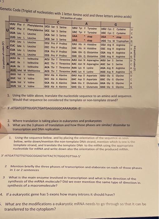 Solved Genetic Code (Triplet of nucleotides with 1 letter | Chegg.com