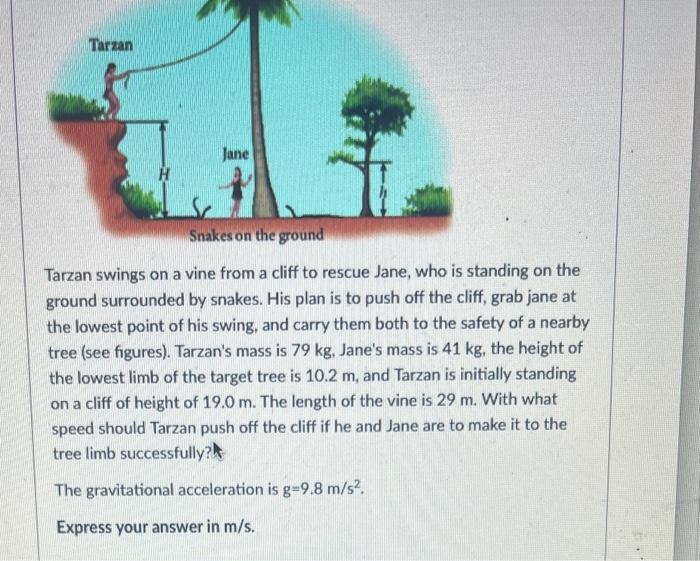 Solved Tarzan swings on a vine from a cliff to rescue Jane, | Chegg.com