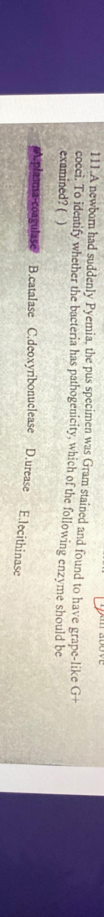 Solved A newbom had suddenly Pyemia, the pus specimen was | Chegg.com