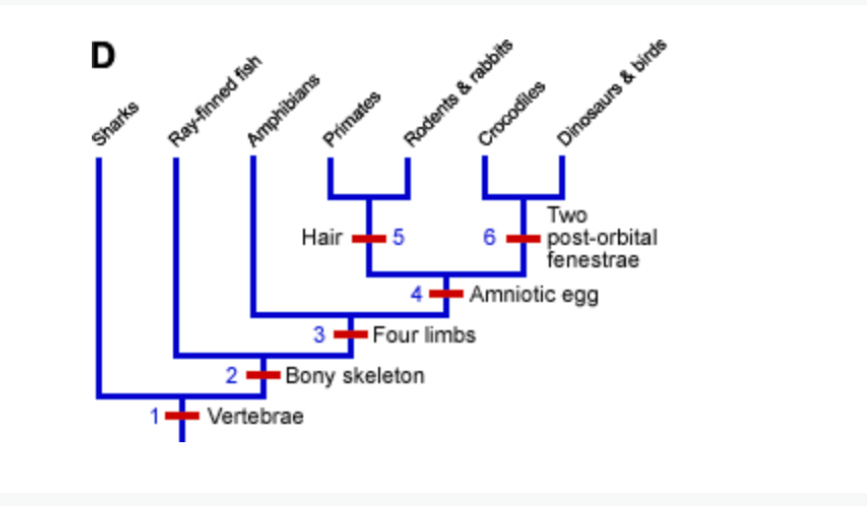 Solved What are the different types of telephones? These are | Chegg.com