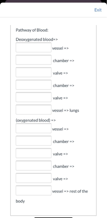 Solved Exit Pathway of Blood: Deoxygenated blood=> vessel => | Chegg.com