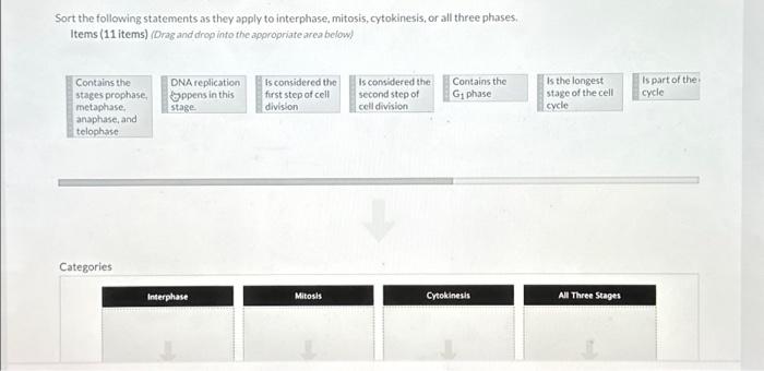 Solved Sort the following statements as they apply to | Chegg.com