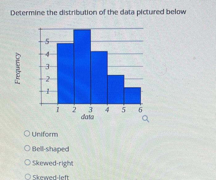 Solved Determine the distribution of the data pictured below | Chegg.com
