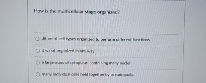 Solved How is the multicellular stage organized?different | Chegg.com