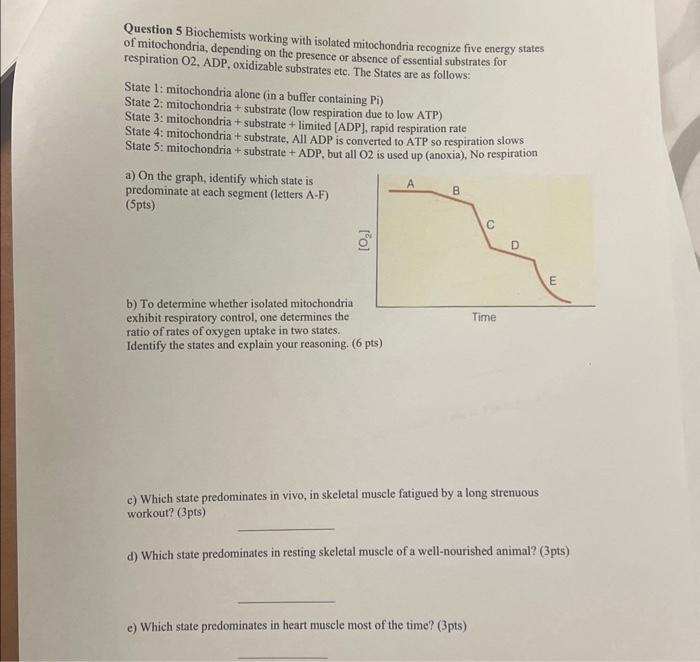 Solved Question 5 Biochemists working with isolated | Chegg.com