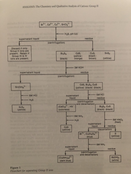 Qualitative Analysis Lab Flowchart At Phoebe Wardill Blog