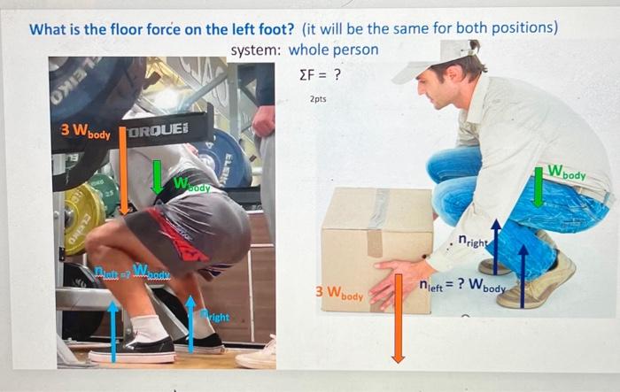 Solved What is the floor force on the left foot? (it will be | Chegg.com