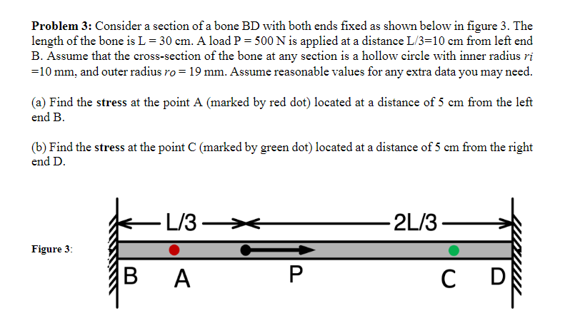 Problem 3: Consider a section of a bone BD with both | Chegg.com