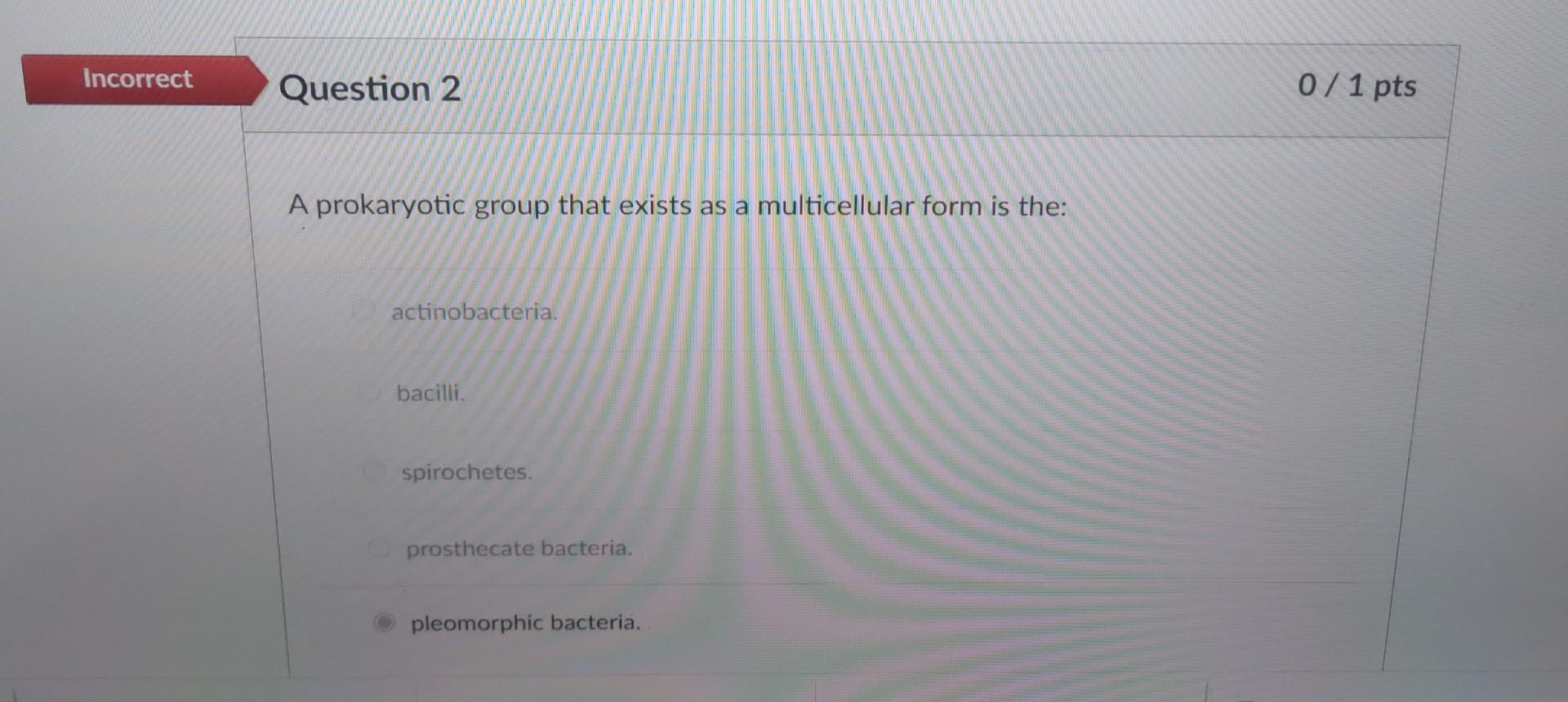 Solved A prokaryotic group that exists as a multicellular | Chegg.com