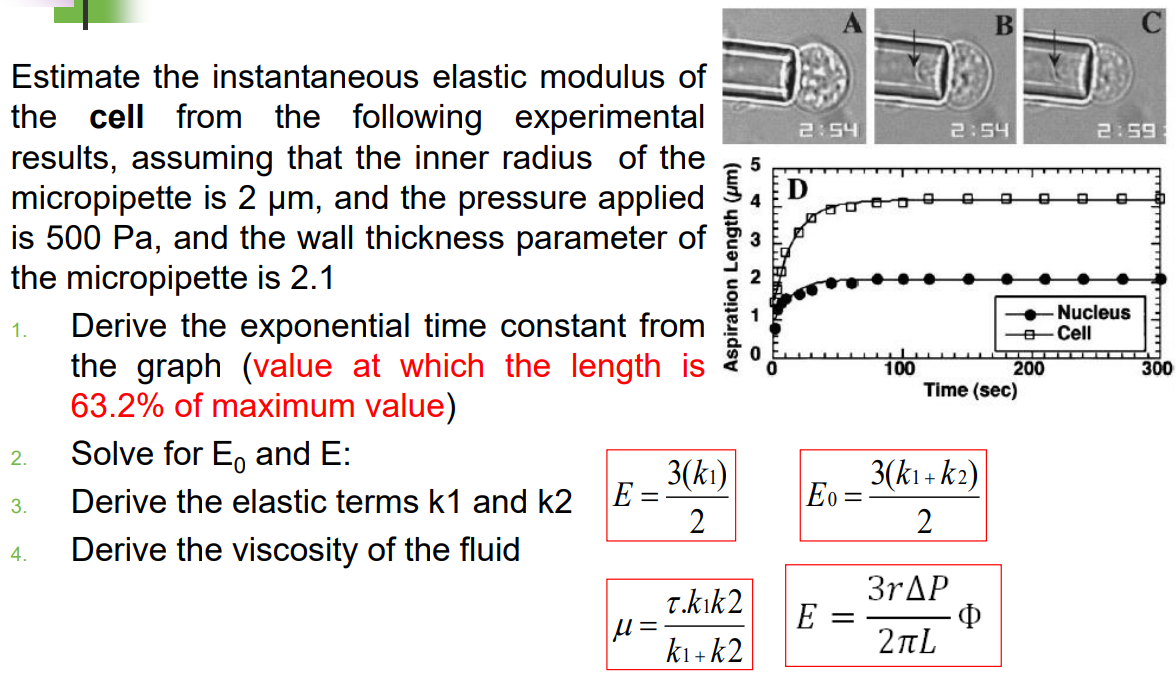 Solved Estimate the instantaneous elastic modulus ofthe cell | Chegg.com