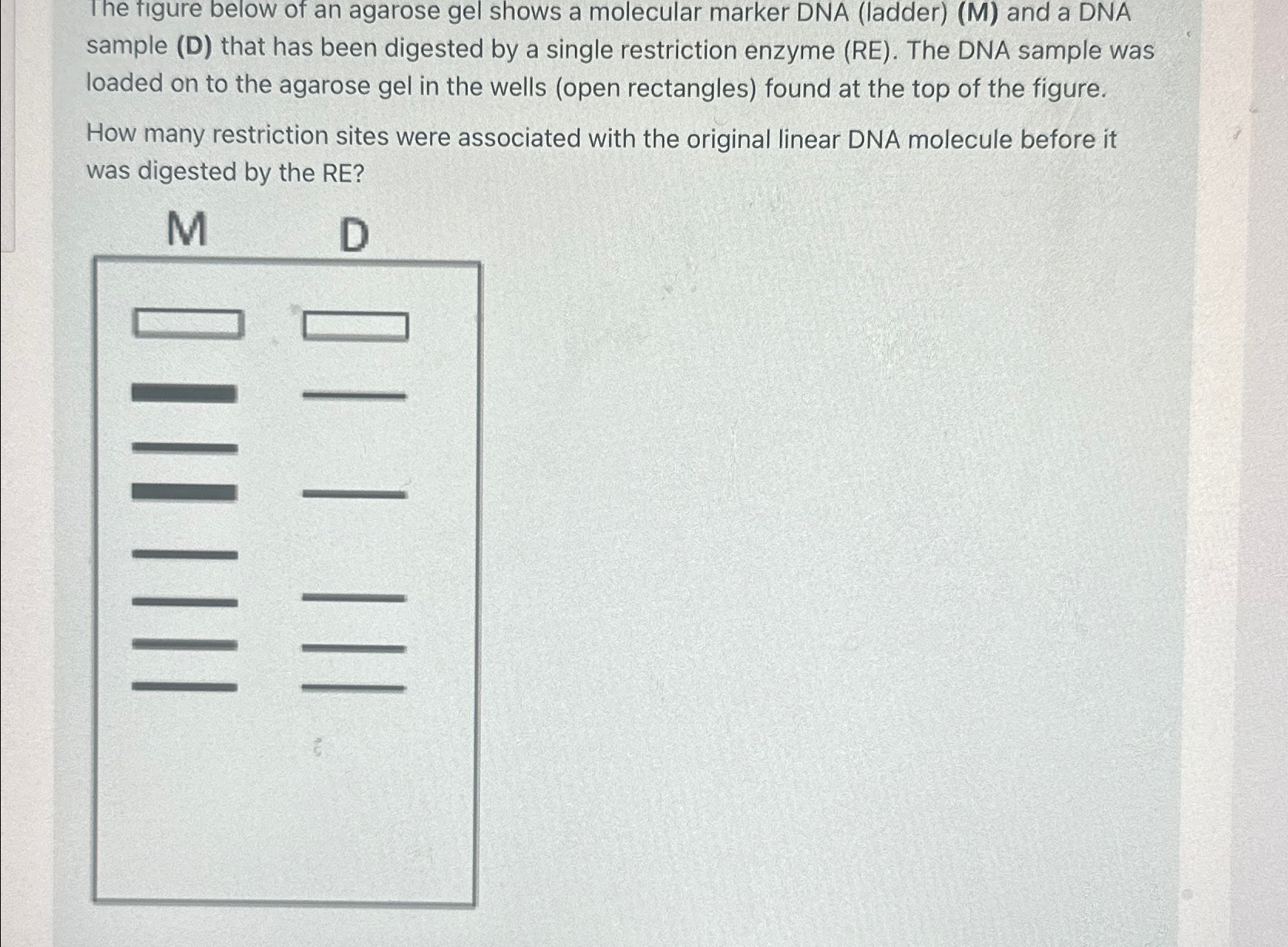 Solved The figure below of an agarose gel shows a molecular | Chegg.com