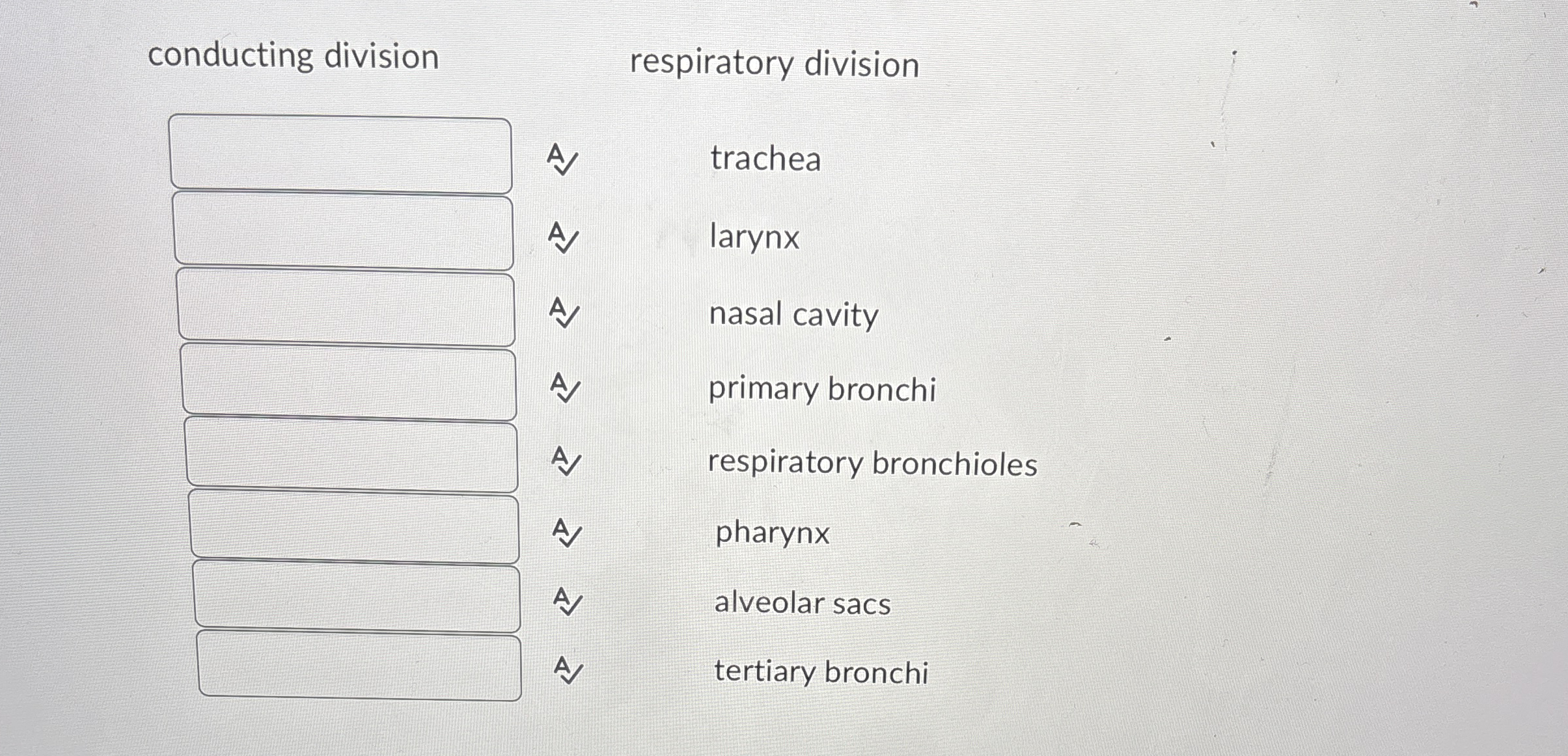 Solved conducting division respiratory | Chegg.com