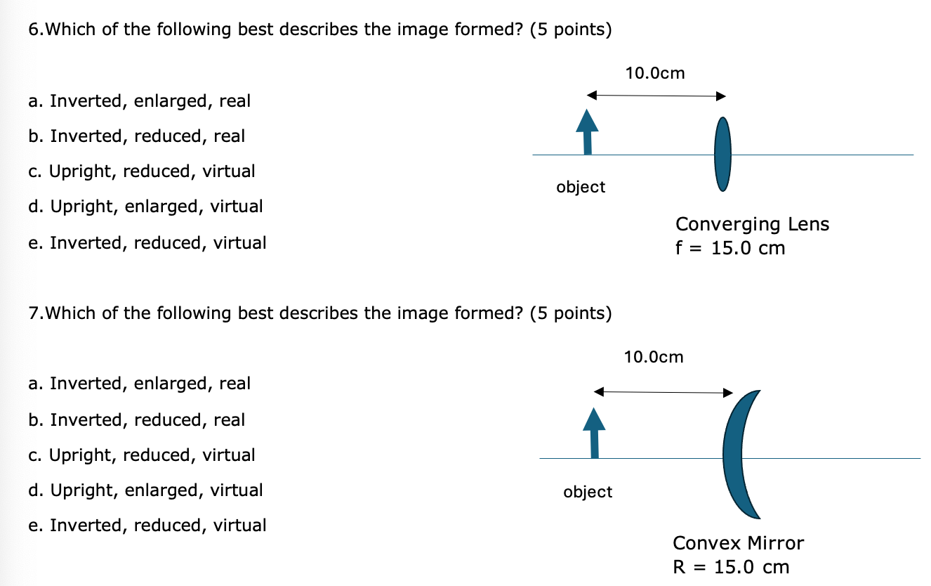 Solved Which of the following best describes the image | Chegg.com