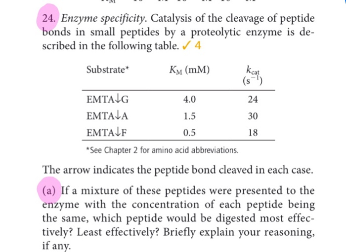 Solved 24. Enzyme specificity. Catalysis of the cleavage of | Chegg.com