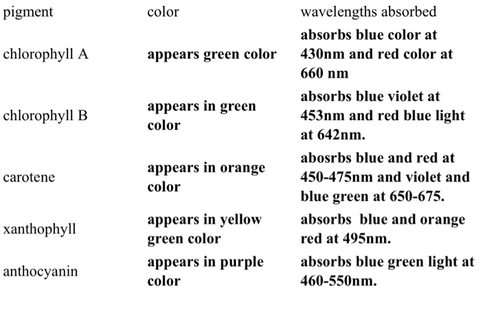 pigment color chlorophyll A appears green color | Chegg.com