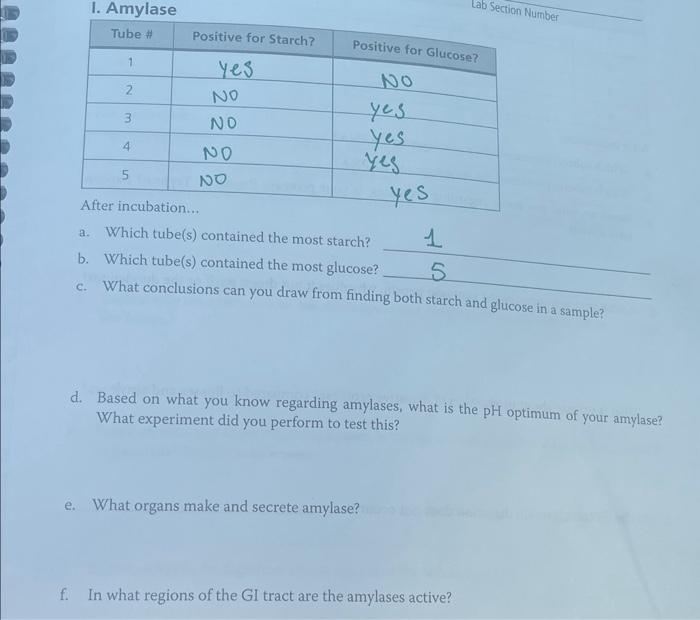 1. Amylase The experimental test for starch | Chegg.com