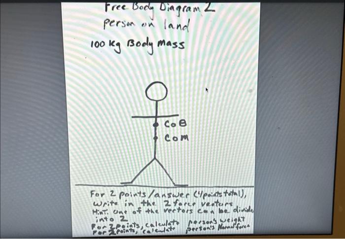 Solved Free Budy Diagram Person submerged in water Feet on | Chegg.com