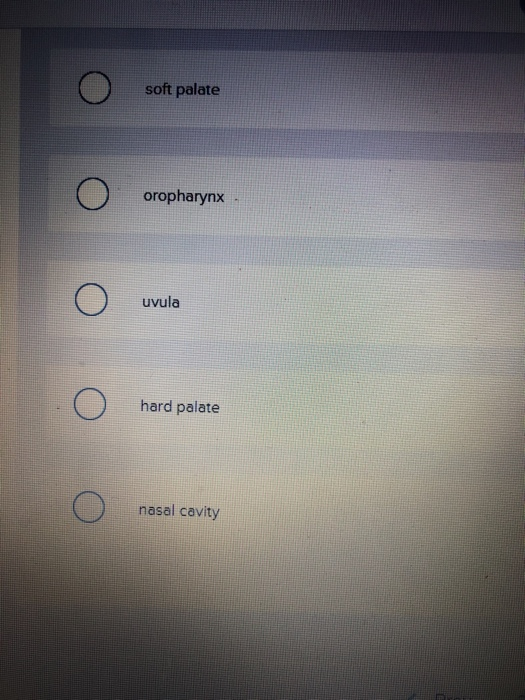 Solved Which structure is highlighted? Multiple Choice