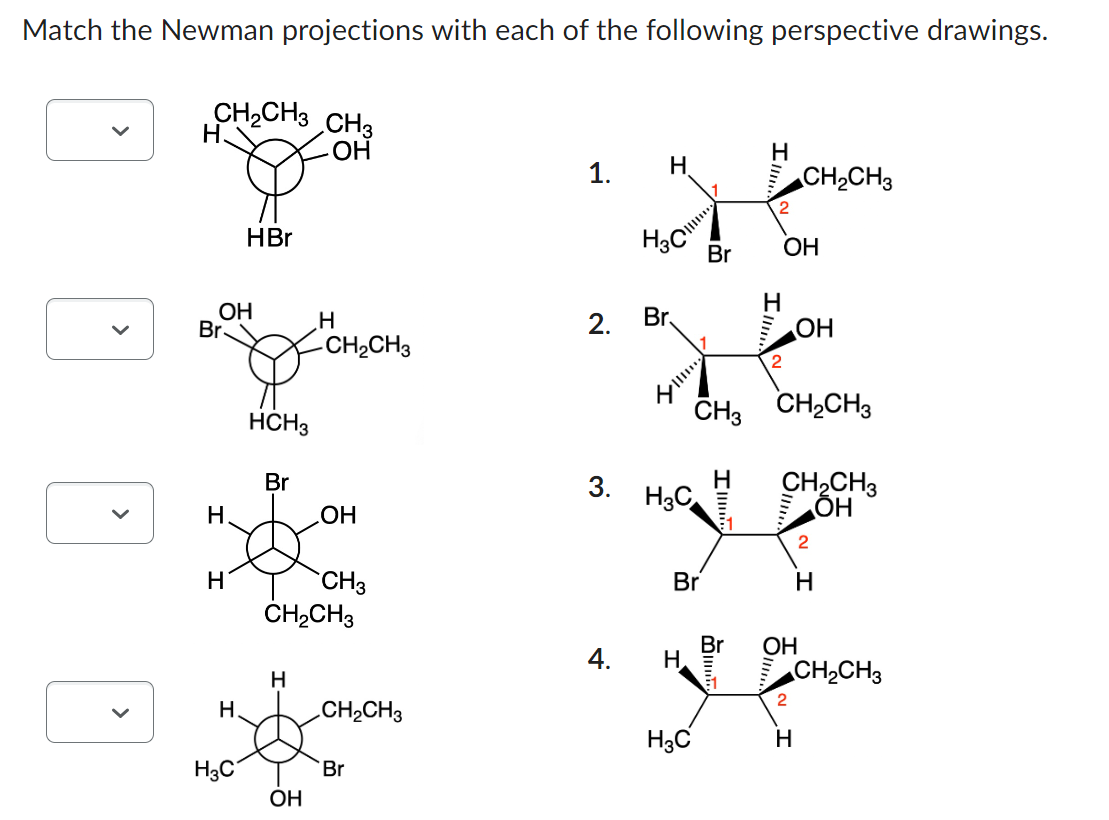 Solved Match the Newman projections with each of the | Chegg.com