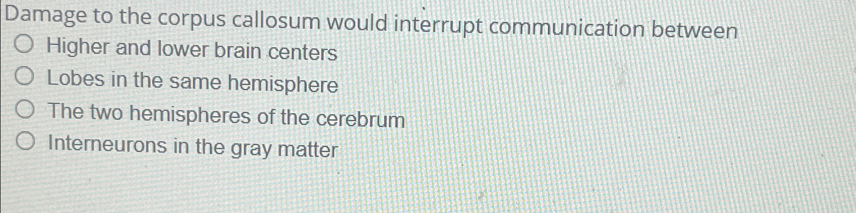 Solved Damage to the corpus callosum would interrupt | Chegg.com