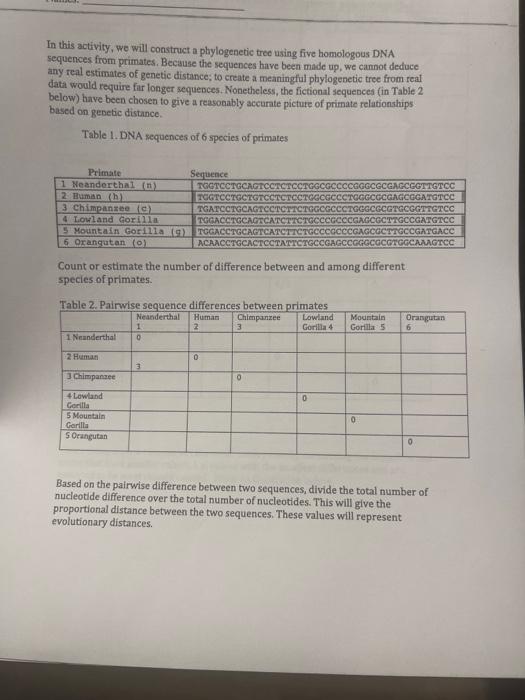 Solved In this activity, we will construct a phylogenetic | Chegg.com