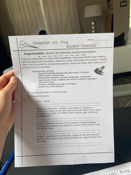 Solved Name: Dissection 101: Frog Student Checklist Frog | Chegg.com