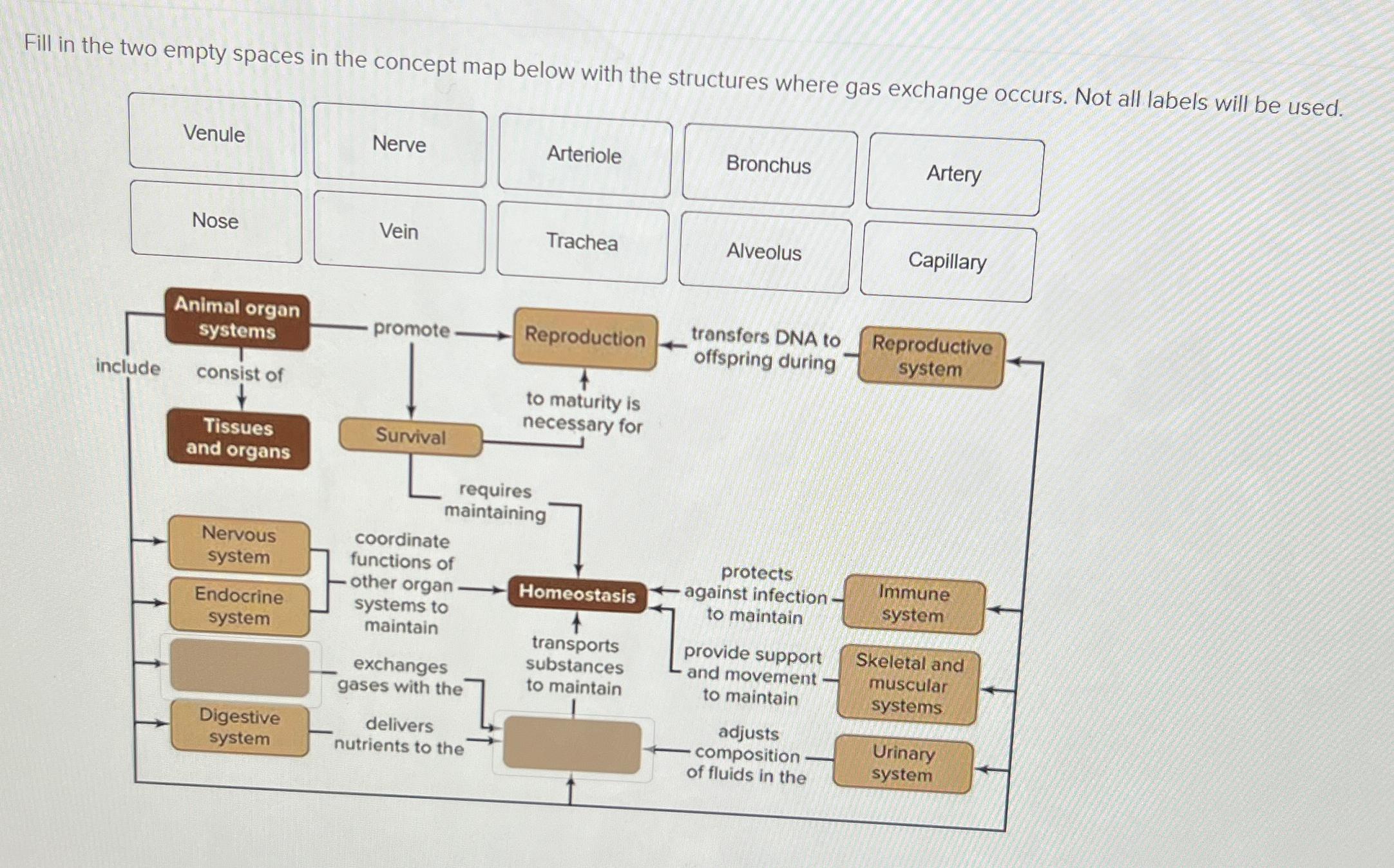 Solved Fill in the two empty spaces in the concept map below | Chegg.com