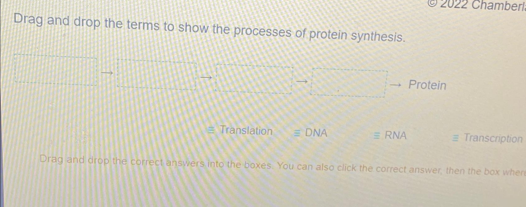 Solved Drag and drop the terms to show the processes of | Chegg.com