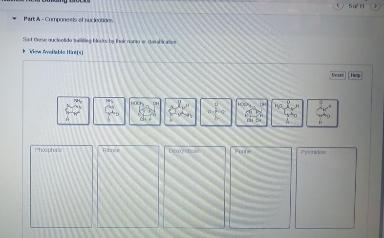 Solved Part A - ﻿Components of nucieolidesSort these | Chegg.com