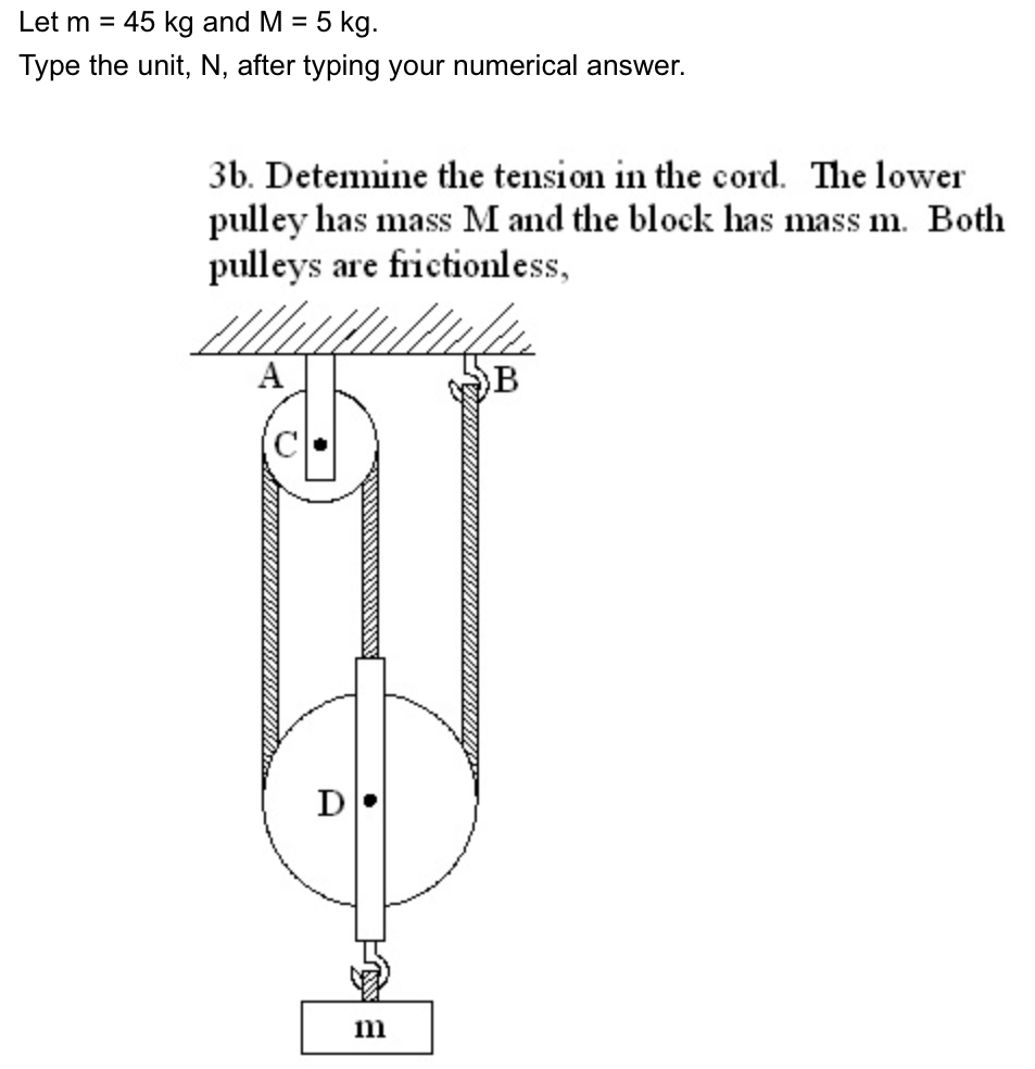 Solved Let m=45kg ﻿and M=5kg.Type the unit, N, ﻿after typing | Chegg.com