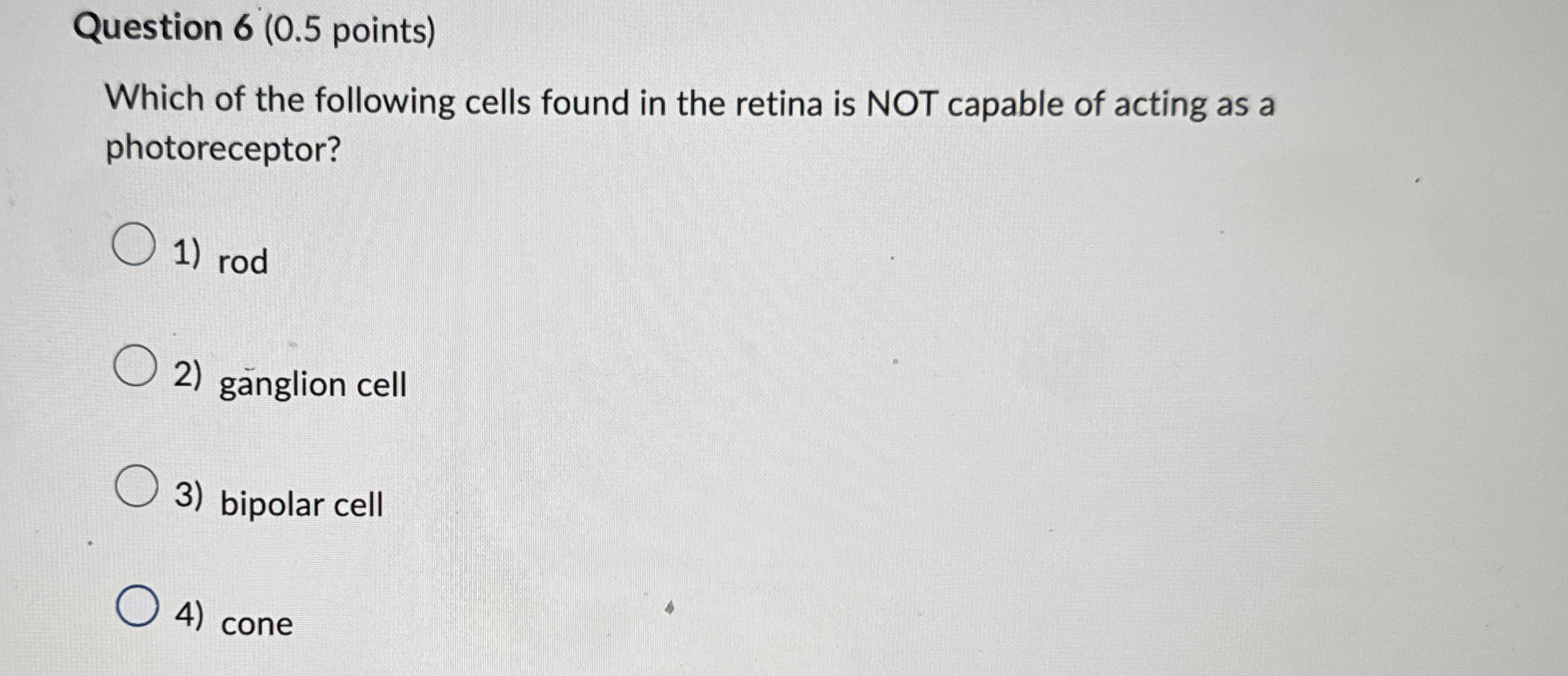 Solved Question 6 ( 0.5 ﻿points)Which of the following cells | Chegg.com