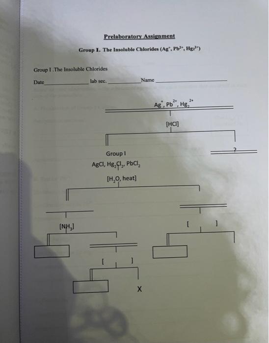 Solved Group I. The Insoluble Chlorides (Ae∗, Pb2+,Hg2+) | Chegg.com