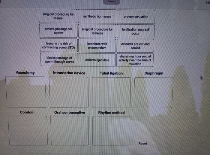 Solved Match each developmental event with the correct end | Chegg.com