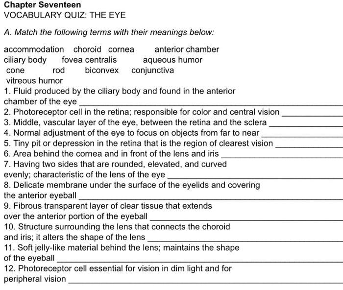 Solved Chapter Seventeen VOCABULARY QUIZ: THE EYE A. Match | Chegg.com