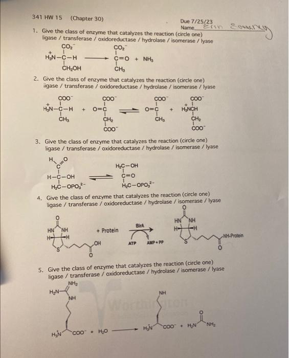 Solved 1. Give the class of enzyme that catalyzes the | Chegg.com