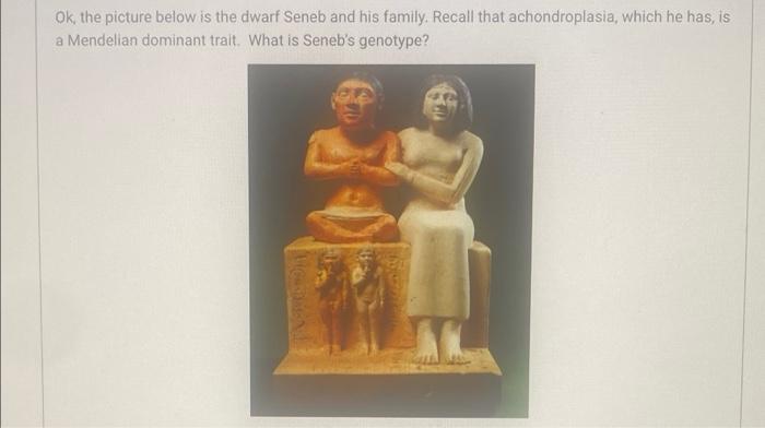 Solved Ok, the picture below is the dwarf Seneb and his | Chegg.com