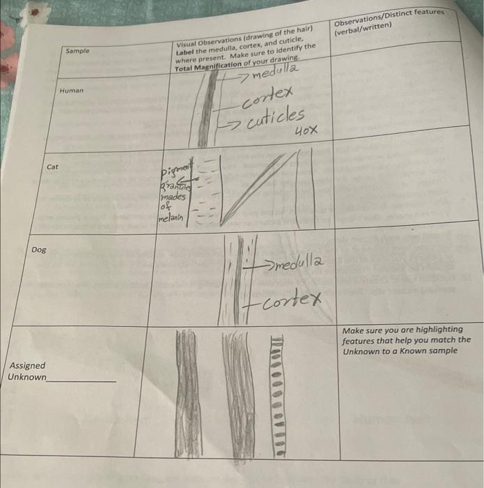 Question 5: When you summarize the results of an | Chegg.com