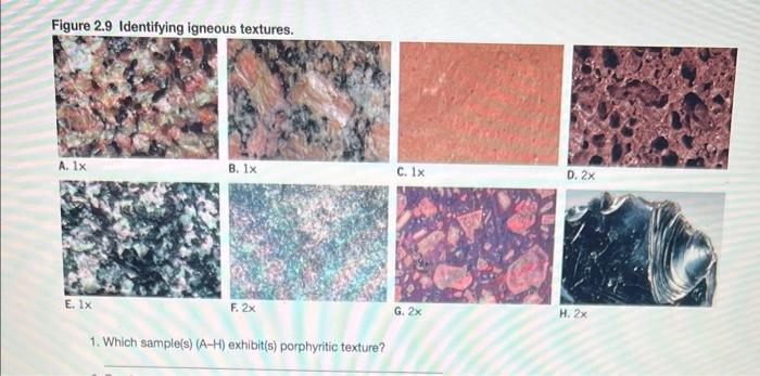 Solved Figure 2.9 Identifying igneous textures. A. 1x B. 1× | Chegg.com