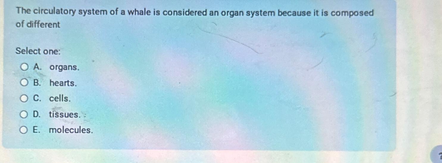 Solved The circulatory system of a whale is considered an | Chegg.com