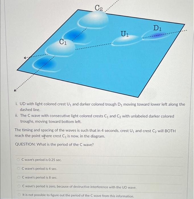 Solved C2 Di U Ci I. UD with light colored crest U, and | Chegg.com