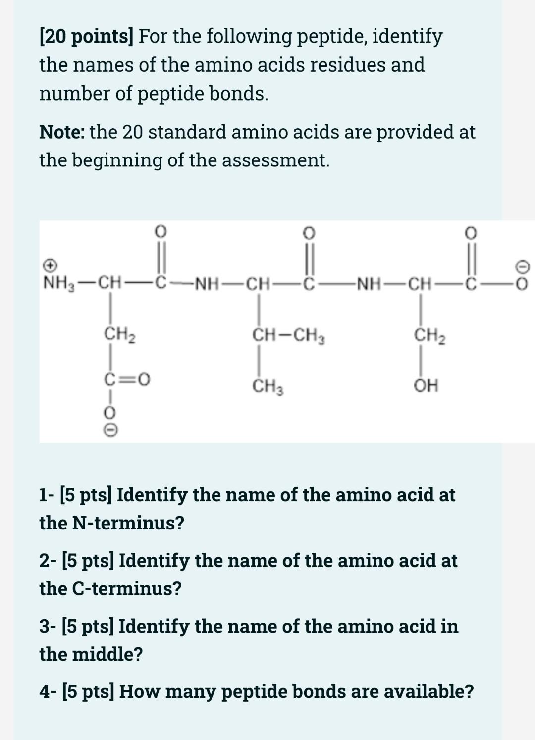 Solved [20 points] For the following peptide, identify the | Chegg.com