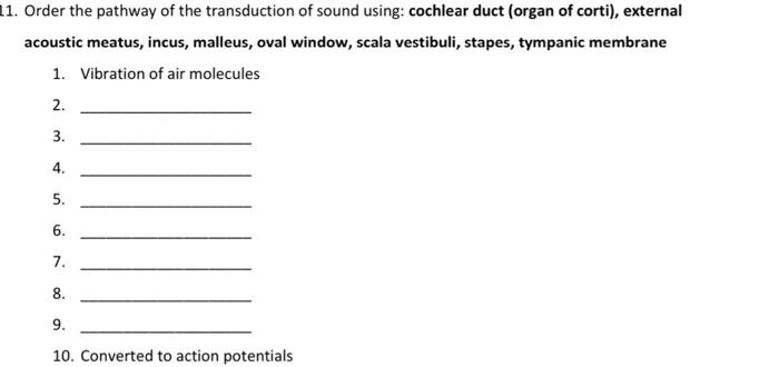 Solved 11. Order the pathway of the transduction of sound | Chegg.com