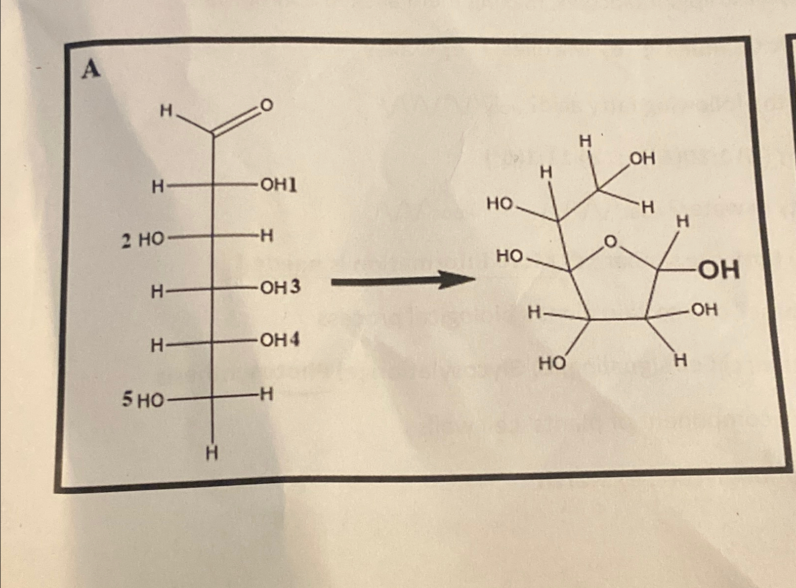 Solved A ﻿ What of the following is true about the cyclic | Chegg.com