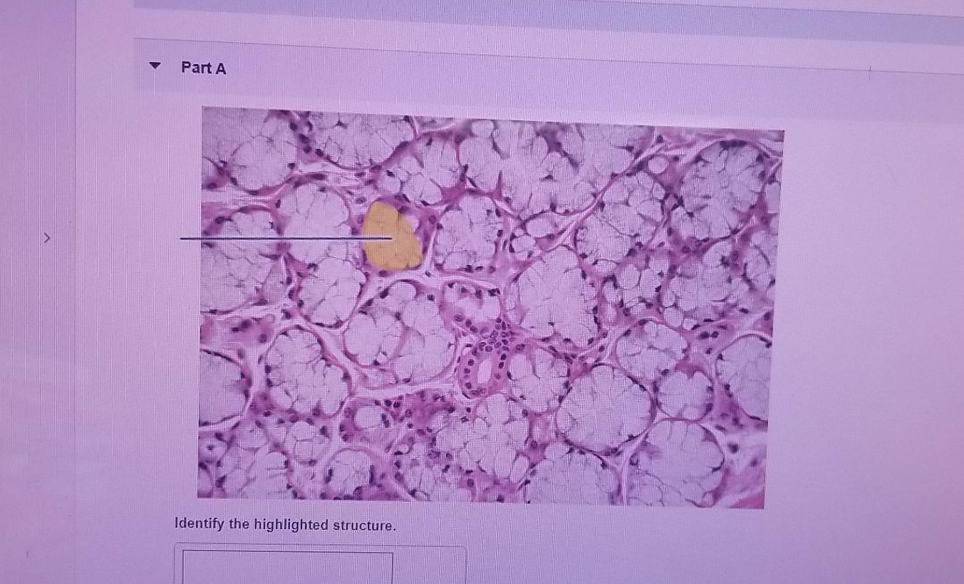 Solved Part A > Identify the highlighted structure. | Chegg.com