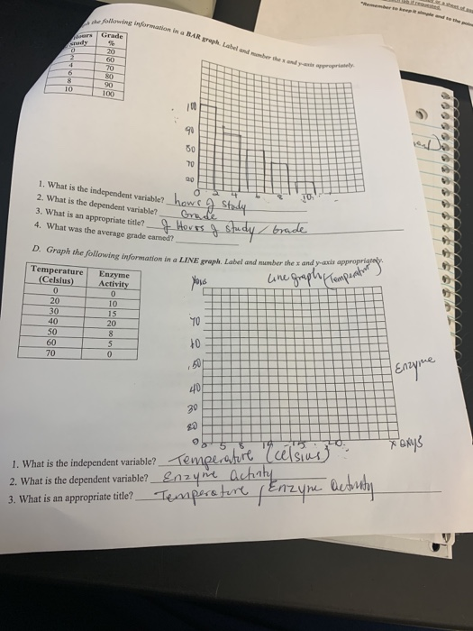Graph Worksheet Graphing And Intro To Science - Free Worksheets Printable